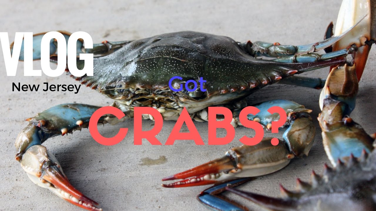How to crab in Stone Harbor & Avalon New Jersey - YouTube