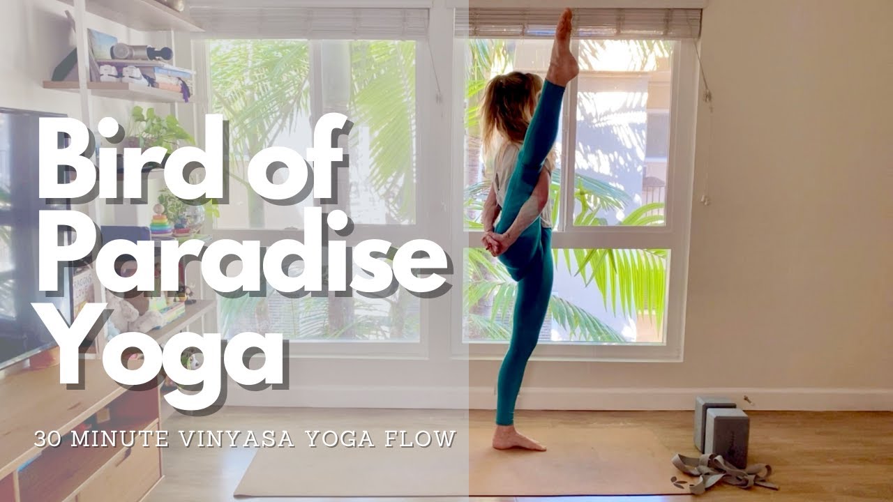 30 minute Bird of Paradise Yoga Flow | Heart Opening + Balance | Yoga ...