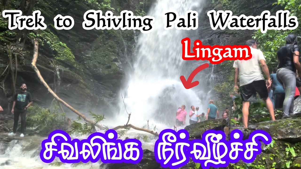 Goa Monsoon Trekking 2023 | Shivling Pali Waterfalls | Mhadei Wildlife ...