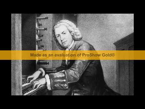 Anna Magdalena Bach no.13b played by Aryan Zartari