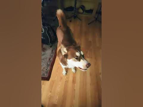 give an inch take a mile!!! - YouTube