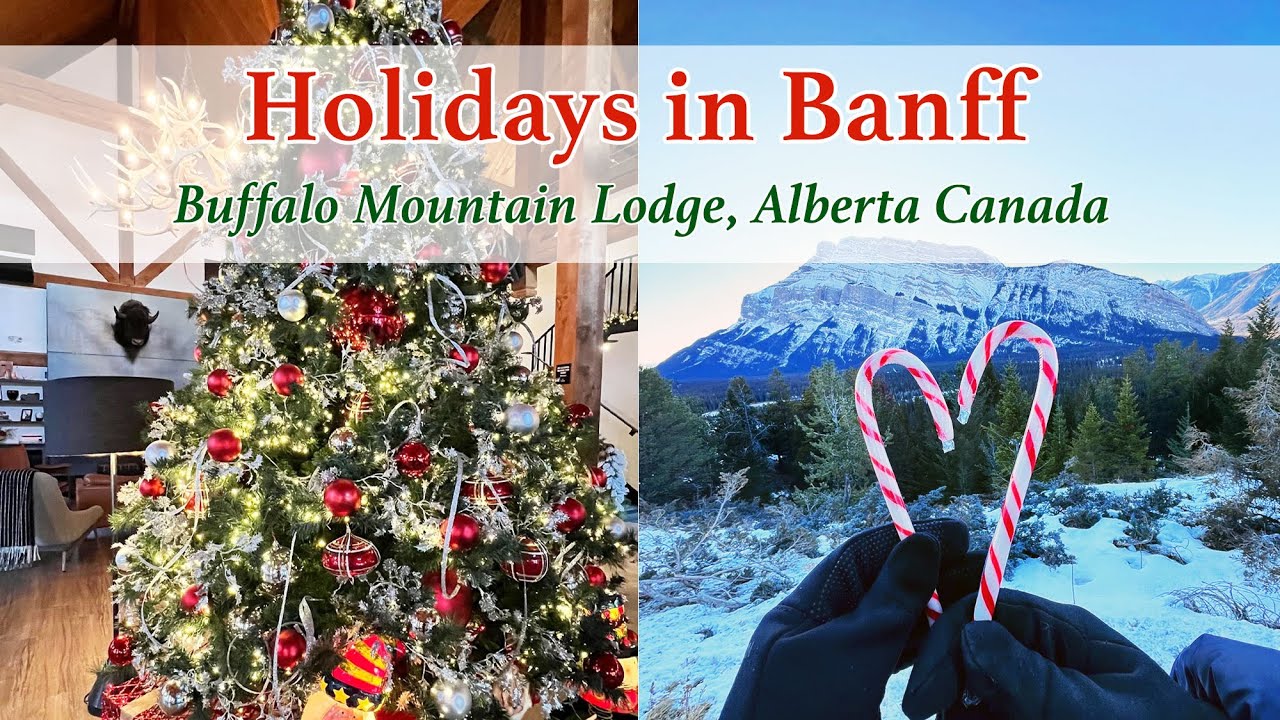 🇨🇦Banff Buffalo Mountain Lodge | Premier Room Tour | Tunnel Mountain ...
