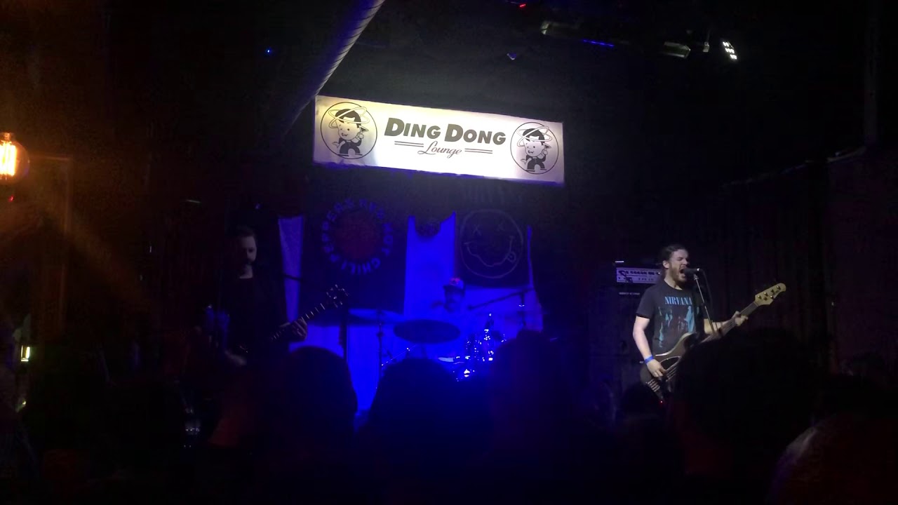 Lounge Apes at Ding Dong - YouTube