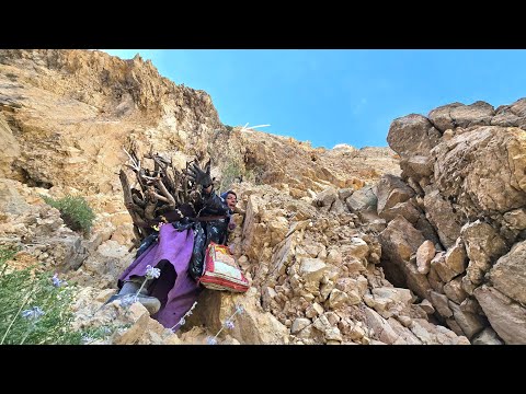 🍑🏔️ Ismat’s Dangerous Cliff Fall in the Zagros | Mountain Survival & Wild Peach Harvest