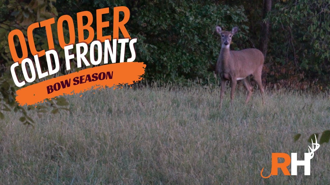 Early Bow Season | October Cold Fronts - YouTube