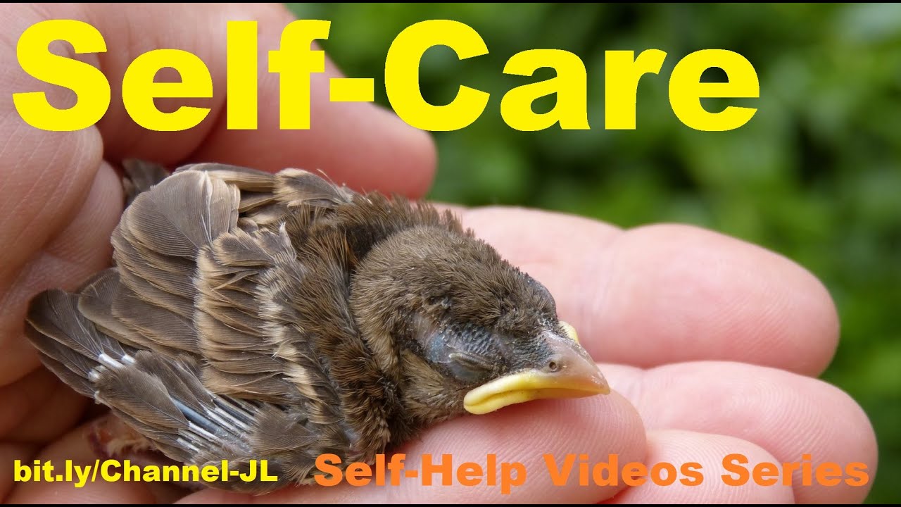 Self-Care - Self-Help Videos Series #selfhelpvideosseries - YouTube