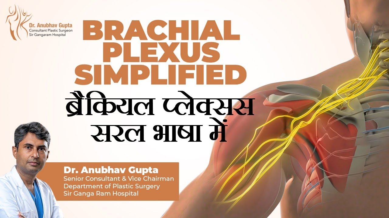Brachial Plexus Simplified | Dr Anubhav Gupta - YouTube