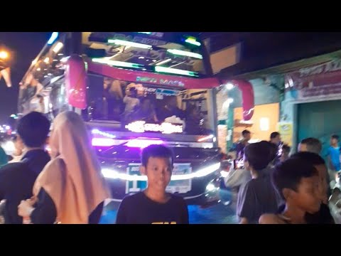 Bocil Pecinta Bus
