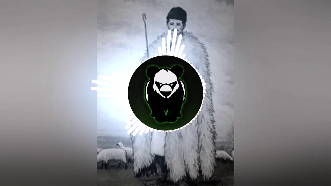 Serbian Trumpets)SRPSKE TRUBE I FRULA)TURBO - YouTube