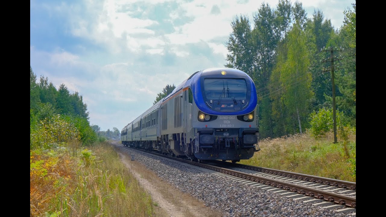 Скрещение SA105-103 и SU160-003 на станции Левицке / DMU SA105-103 and ...