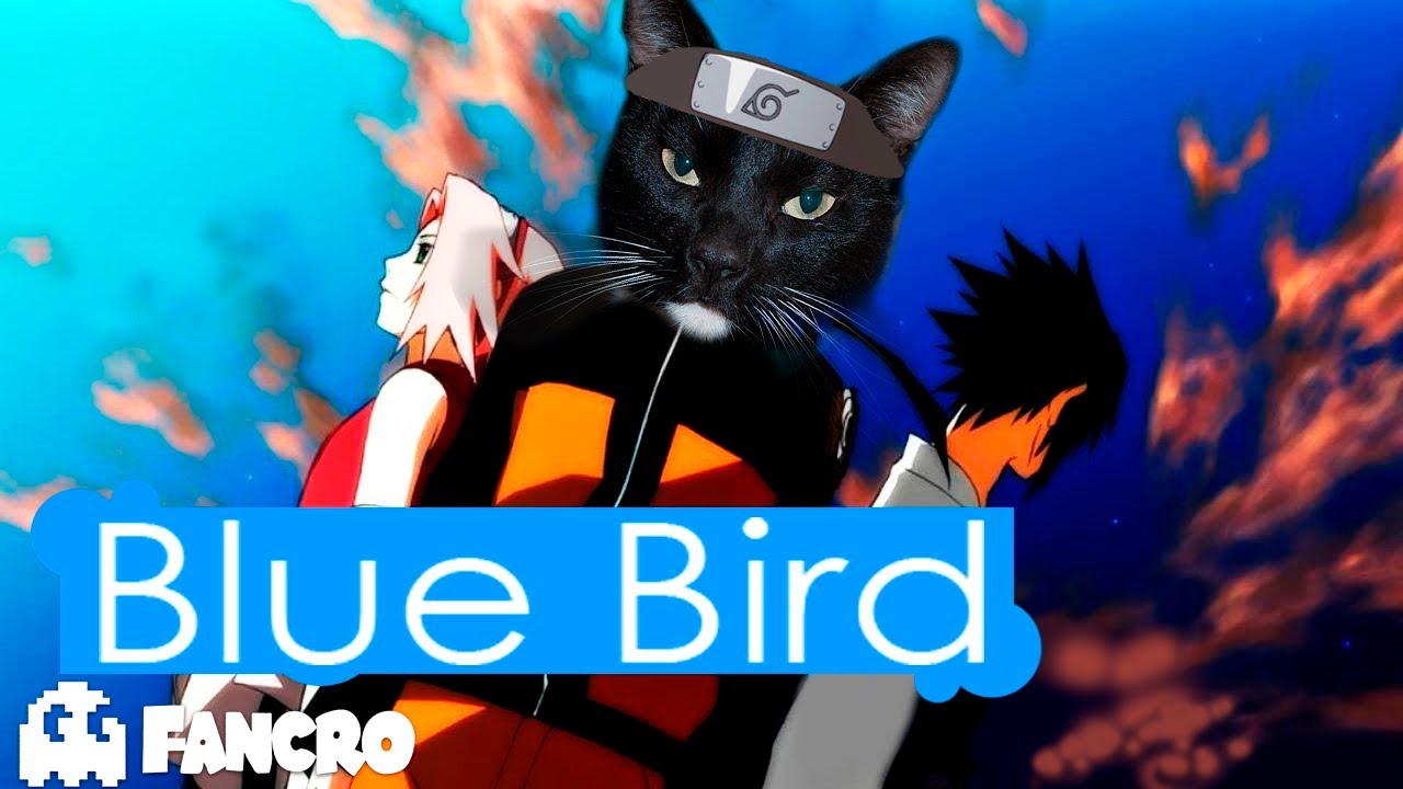 Blue Bird. OP.3 | Cover Gatuno | Naruto Shippuden. - YouTube