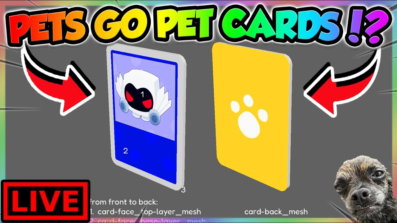 (🔴LIVE) BIG GAMES TRADING CARDS in PETS GO UPDATE!? (Roblox) - YouTube