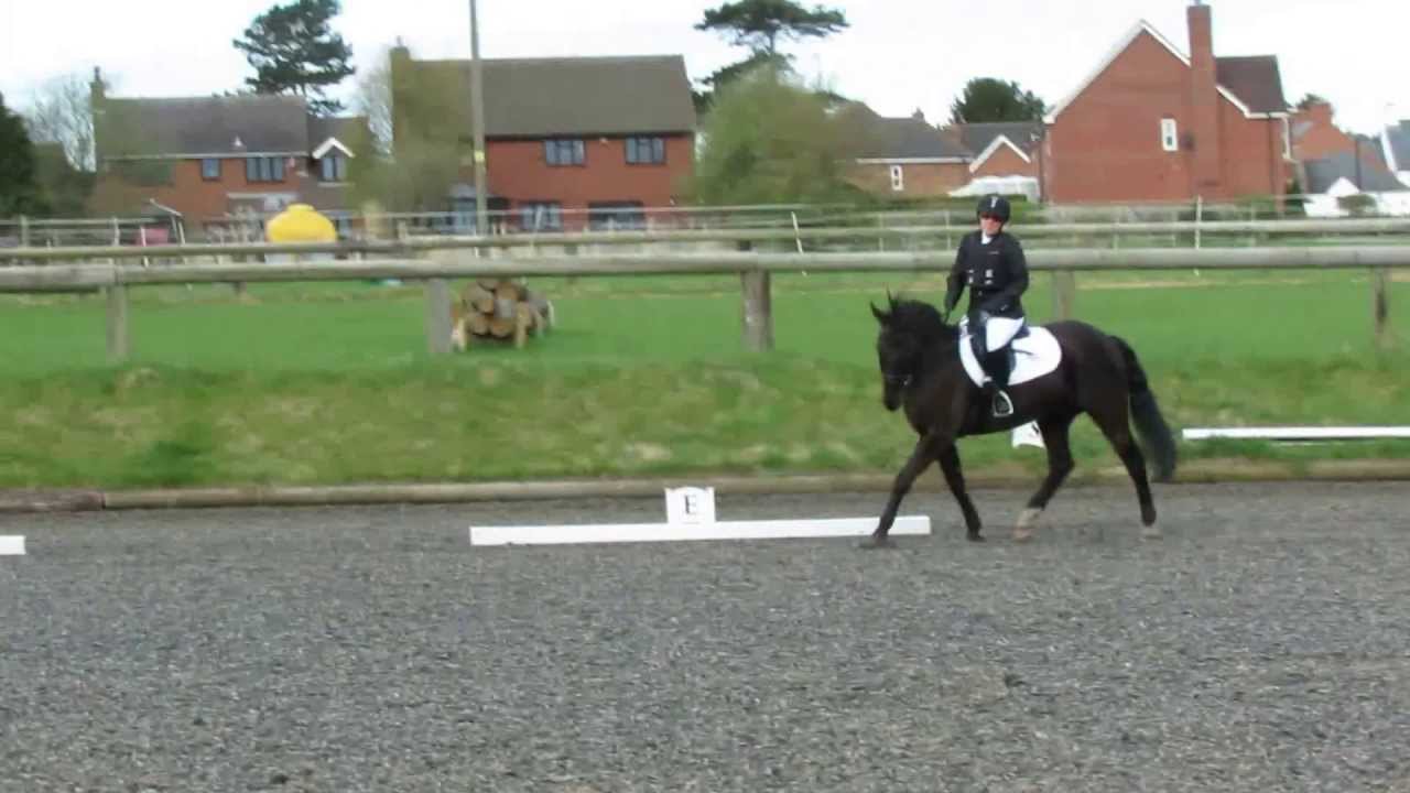 BD intro B test - YouTube