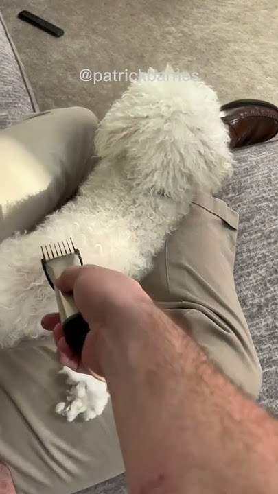 #stitch with @ patrickbarnes - YouTube