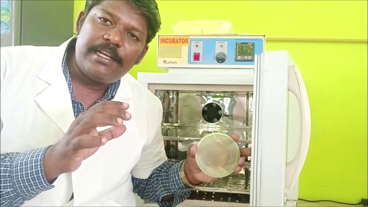 Working Principle of Microbial Incubator by Dr.S.Elayabalan - YouTube