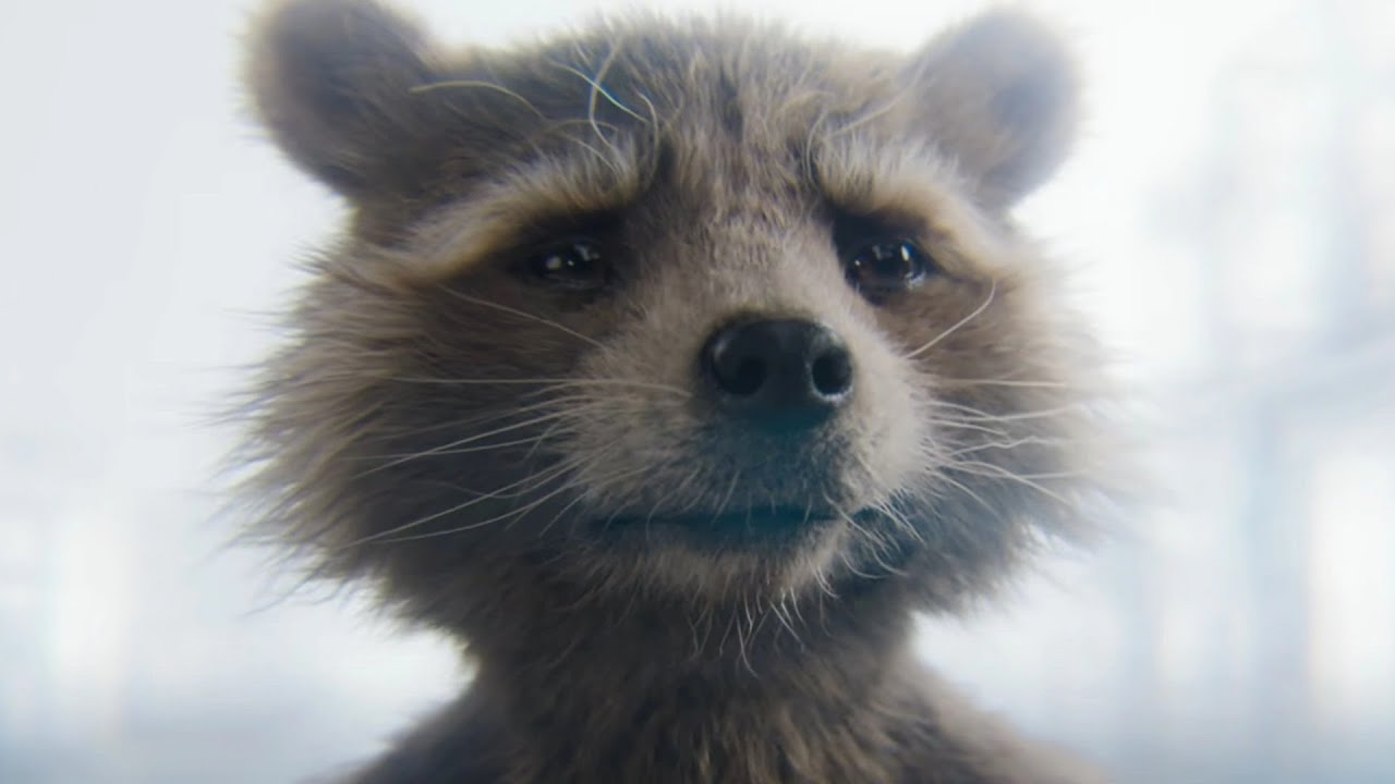 Guardians Of The Galaxy Vol. 3's Mid-Credit Scene Explained - YouTube