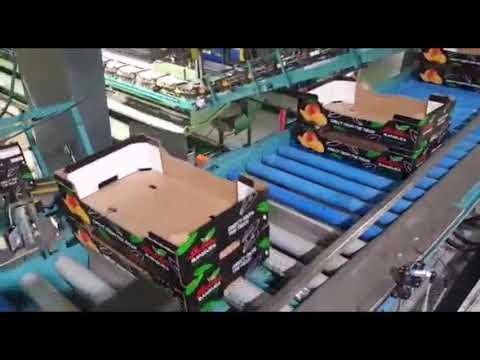 Controlled conveyor system- Eshet Eilon - YouTube