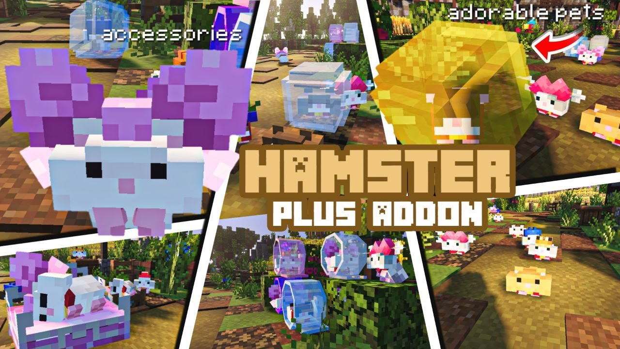 NEW CUTE ADDON Hamster Plus For Minecraft Bedrock/MCPE 1.21+ | Toys, Cage, Skateboard And More ...