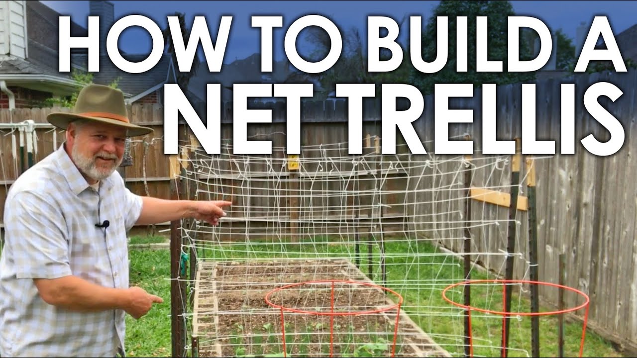 How to Build a DIY Net Trellis || Black Gumbo - YouTube