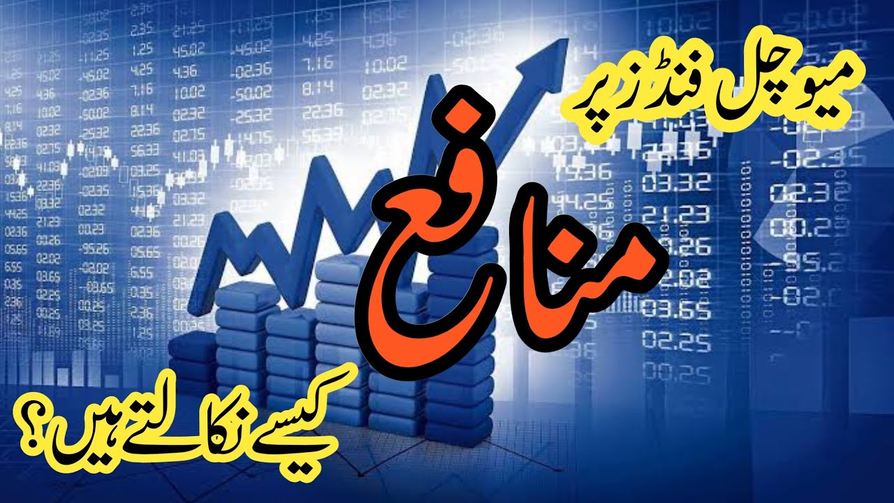 How to Calculate Profit on Mutual Funds: A Step-by-Step Guide | Profit ...