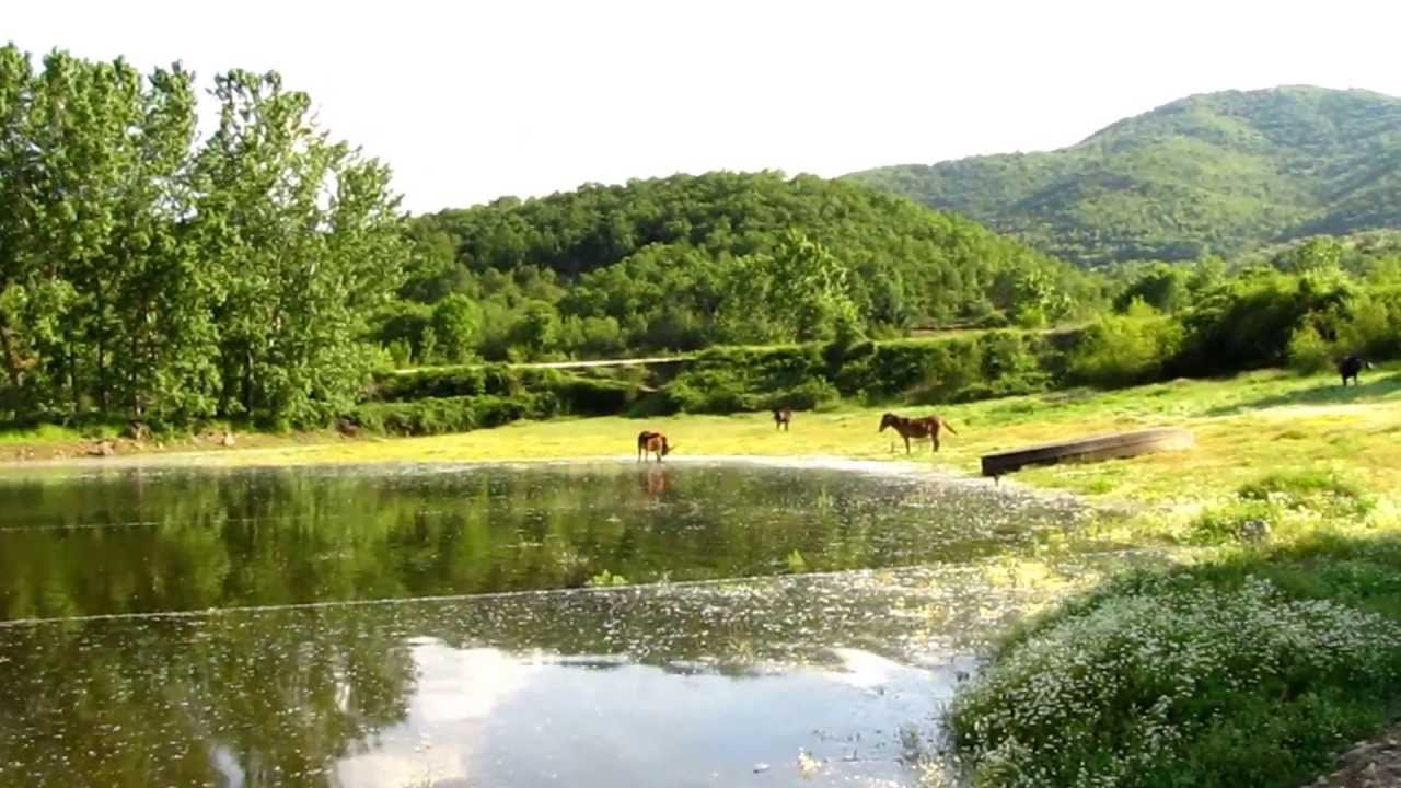 ΛΙΜΝΗ ΚΕΡΚΙΝΗ (ΜΑΙΟΣ 2011) - YouTube