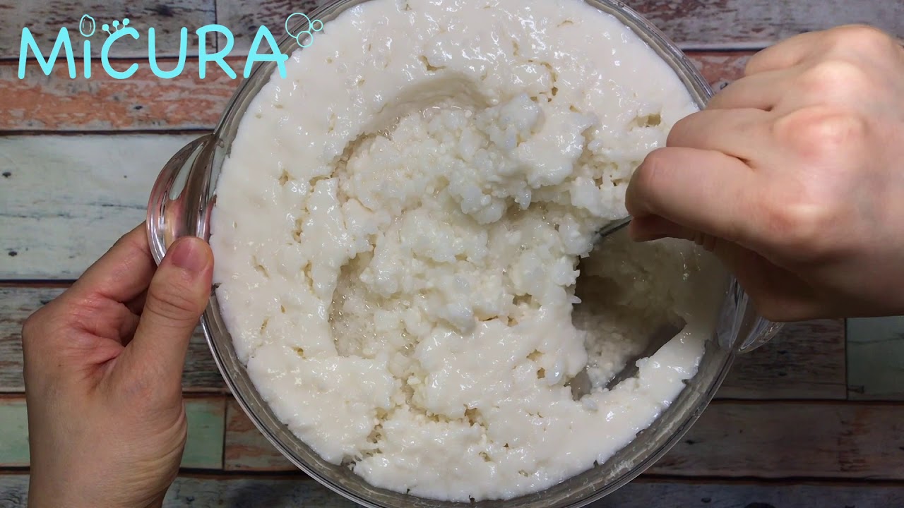 日本酒醪 Sake Moromi Crisp Day 1~3 - YouTube