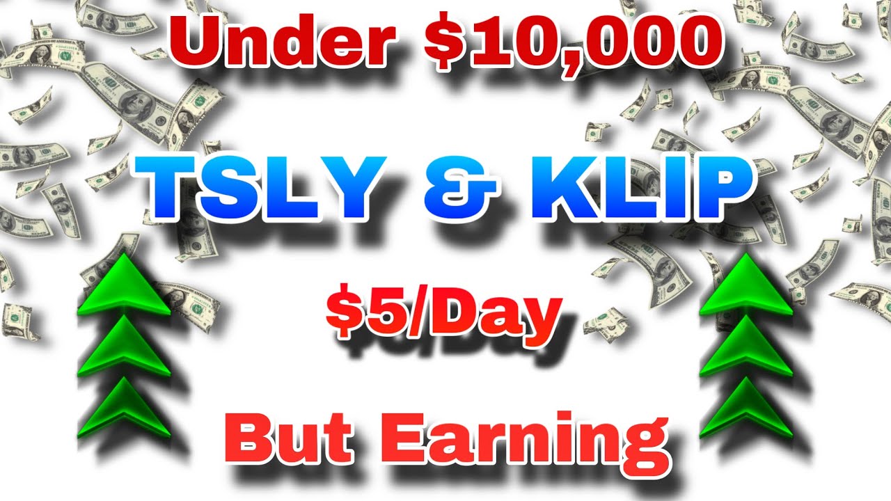 HOW (TSLY) Yieldmax ETF & (KLIP) Kraneshare China ETF Pay Me $5/Day ...