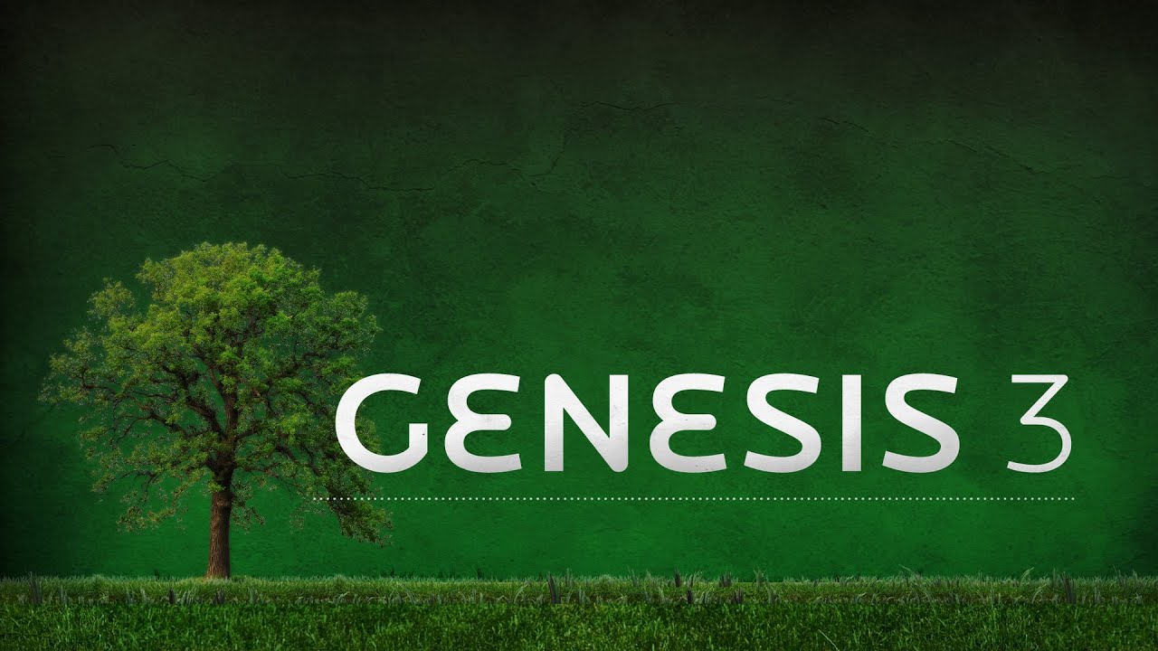 GENESIS 3 (PT 2) - YouTube