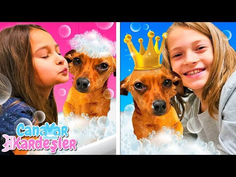 Köpek banyosu nasıl yapılır? Canavar Kardeşler Panço'ya banyo yaptırıyorlar. Çocuk videoları