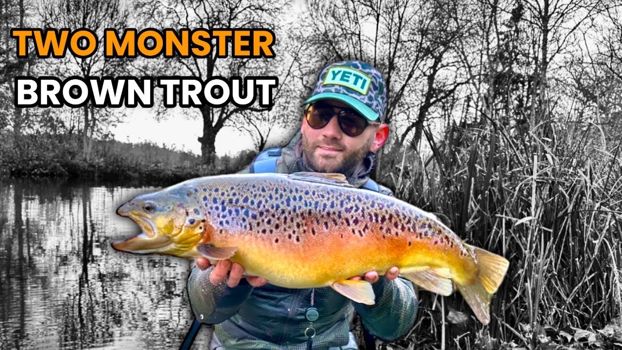 2 MONSTER BROWN TROUT IN 1 DAY!!!! AVINGTON TROUT FISHERY - YouTube