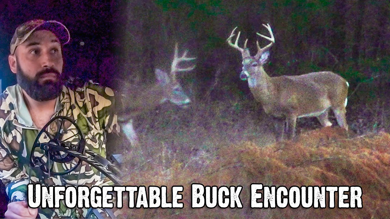 Last Night's Hunt - Unforgettable Buck Encounter during the Post Rut ...