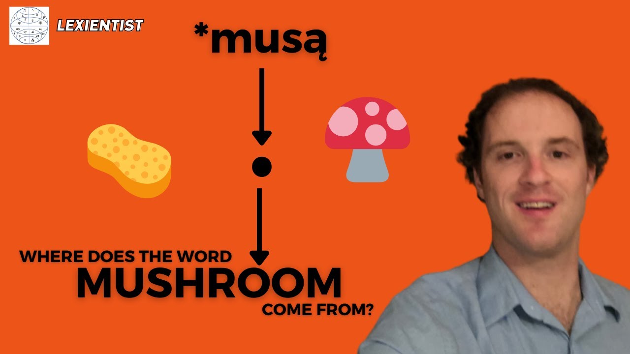 Etymology Of MUSHROOM A Truly Moist Origin Story YouTube etymology-of-mushroom-a-truly-moist-origin-story-youtube
