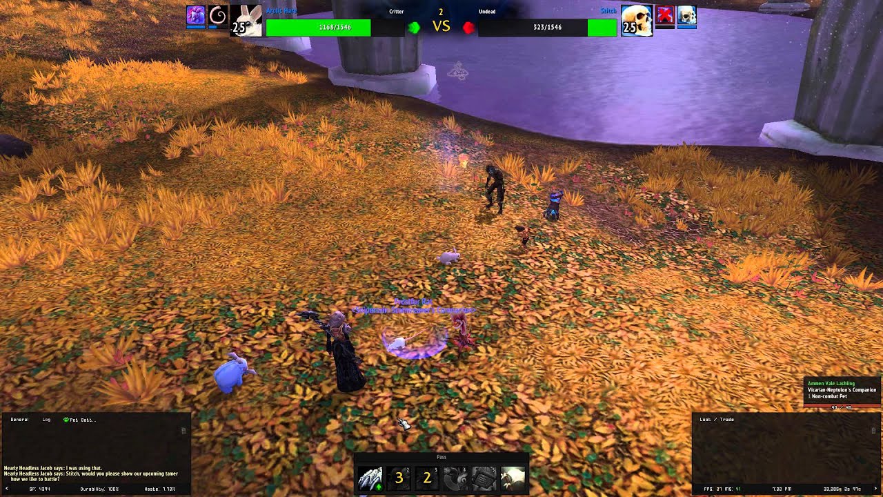 How to defeat Nearly Headless Jacob with 2 Pets - An Awfully Big ...