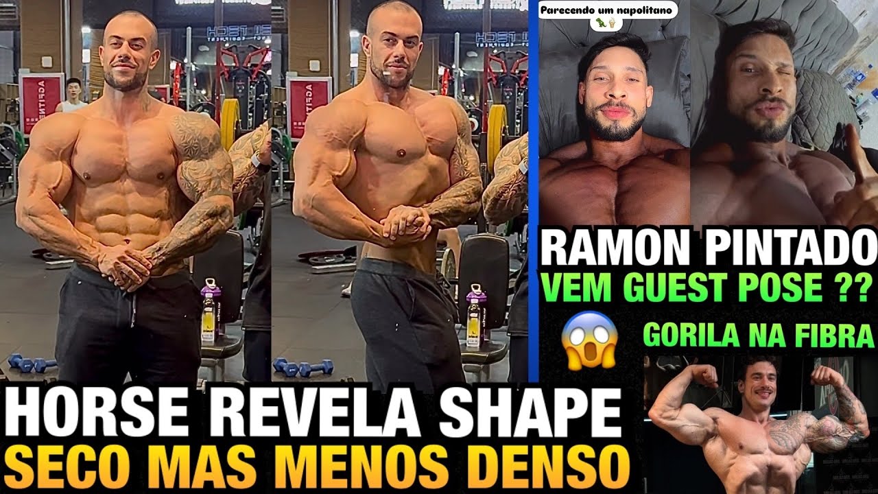 HORSE MOSTRA SHAPE ATUAL PARA a CLASSIC + RAMON APARECE PINTADO DE ...