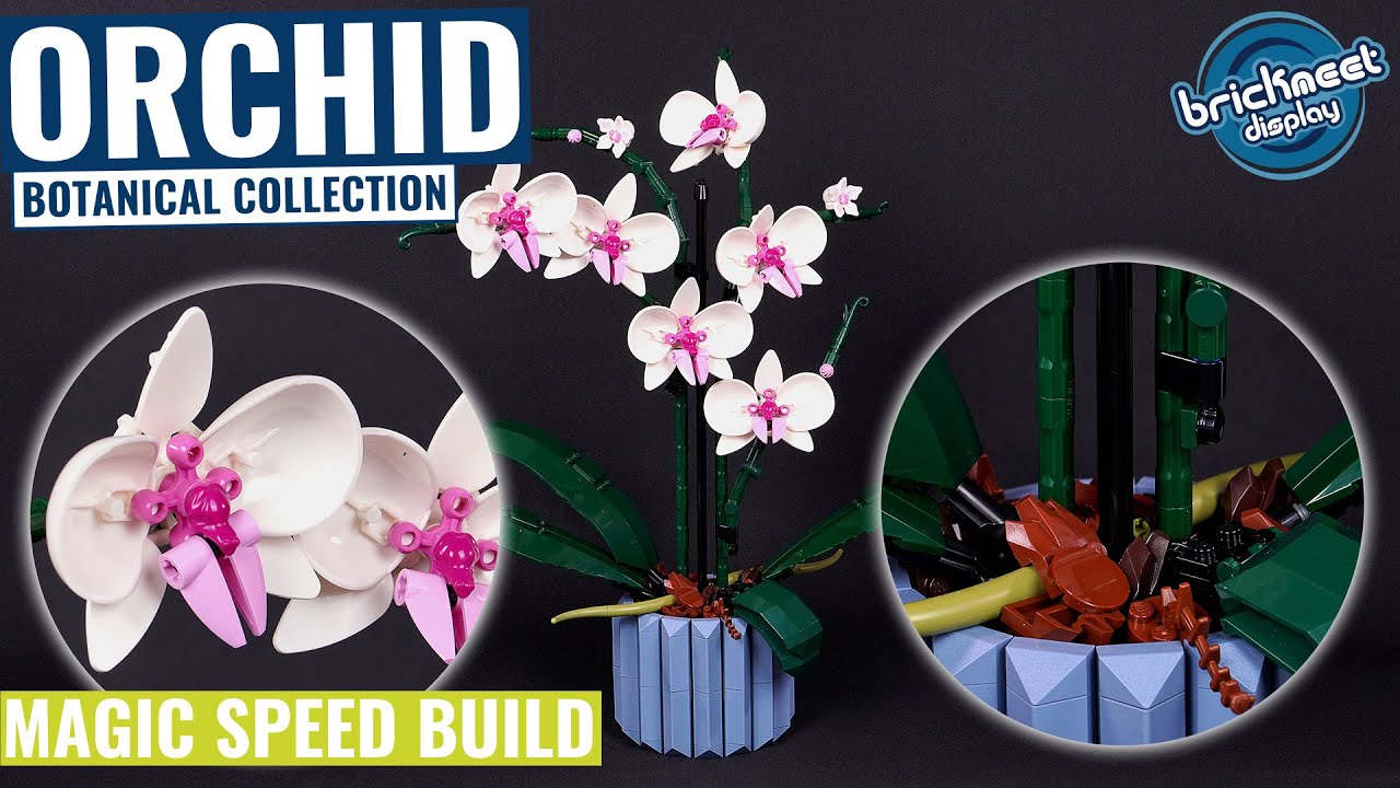 LEGO® 10311 Orchid - Botanical Collection (Speed Build Review) - YouTube