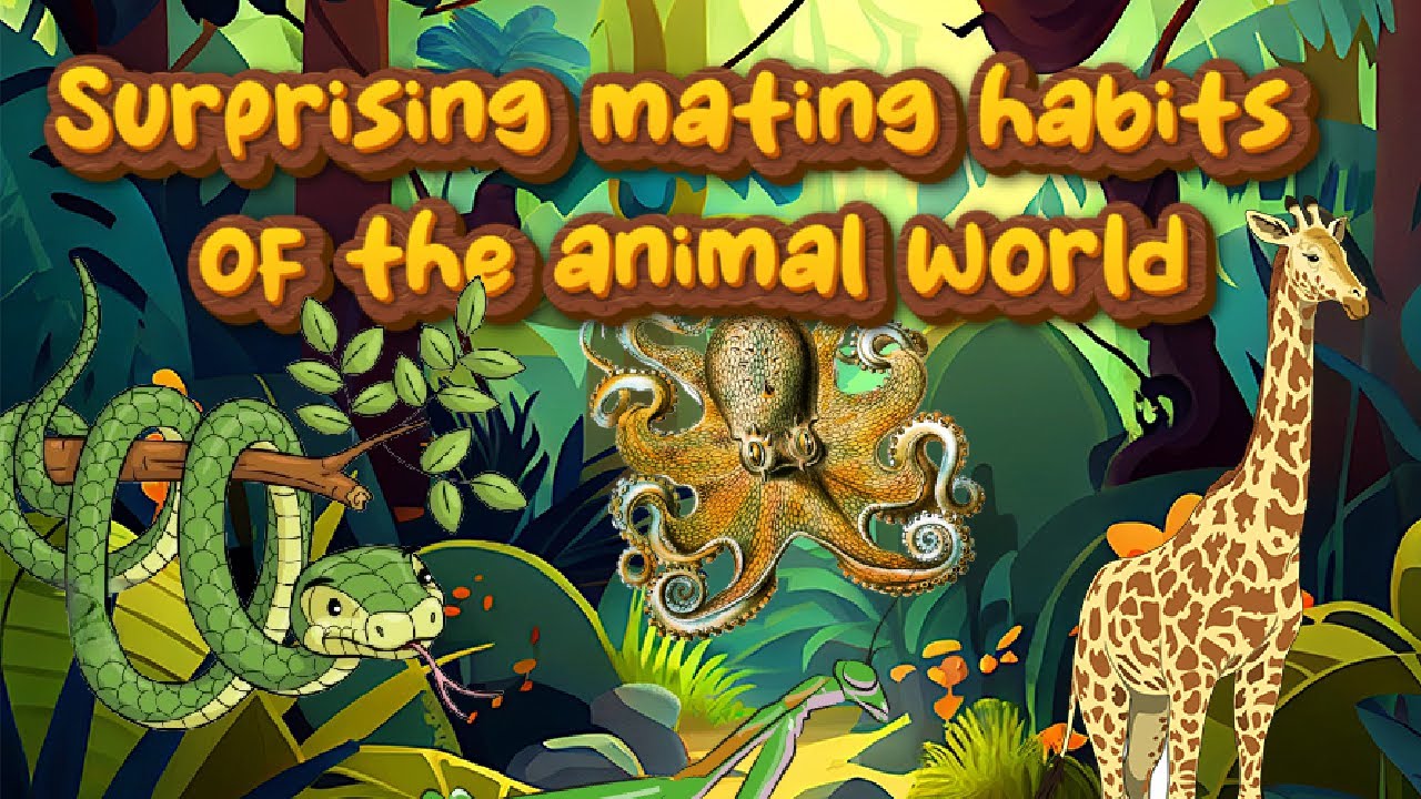 Amazing mating habits of the animal world - YouTube