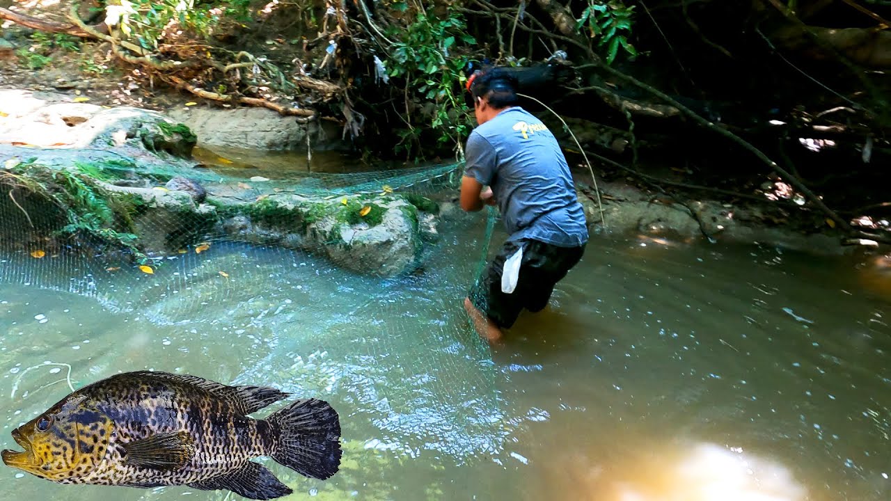 PESCANDO CON ATARRAYA Y CUEVEANDO EN UN RÍO PEQUEÑO EN EL SALVADOR ...