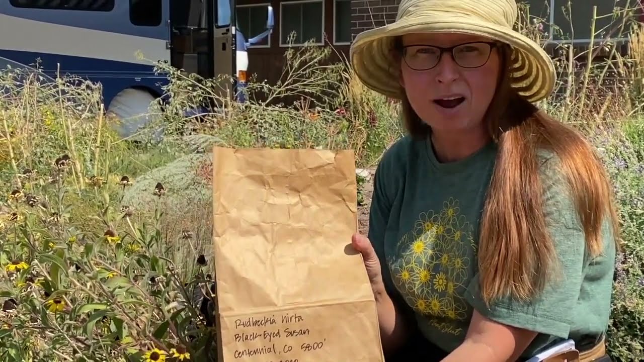 Native Seed Collection & Cleaning Strategies - YouTube