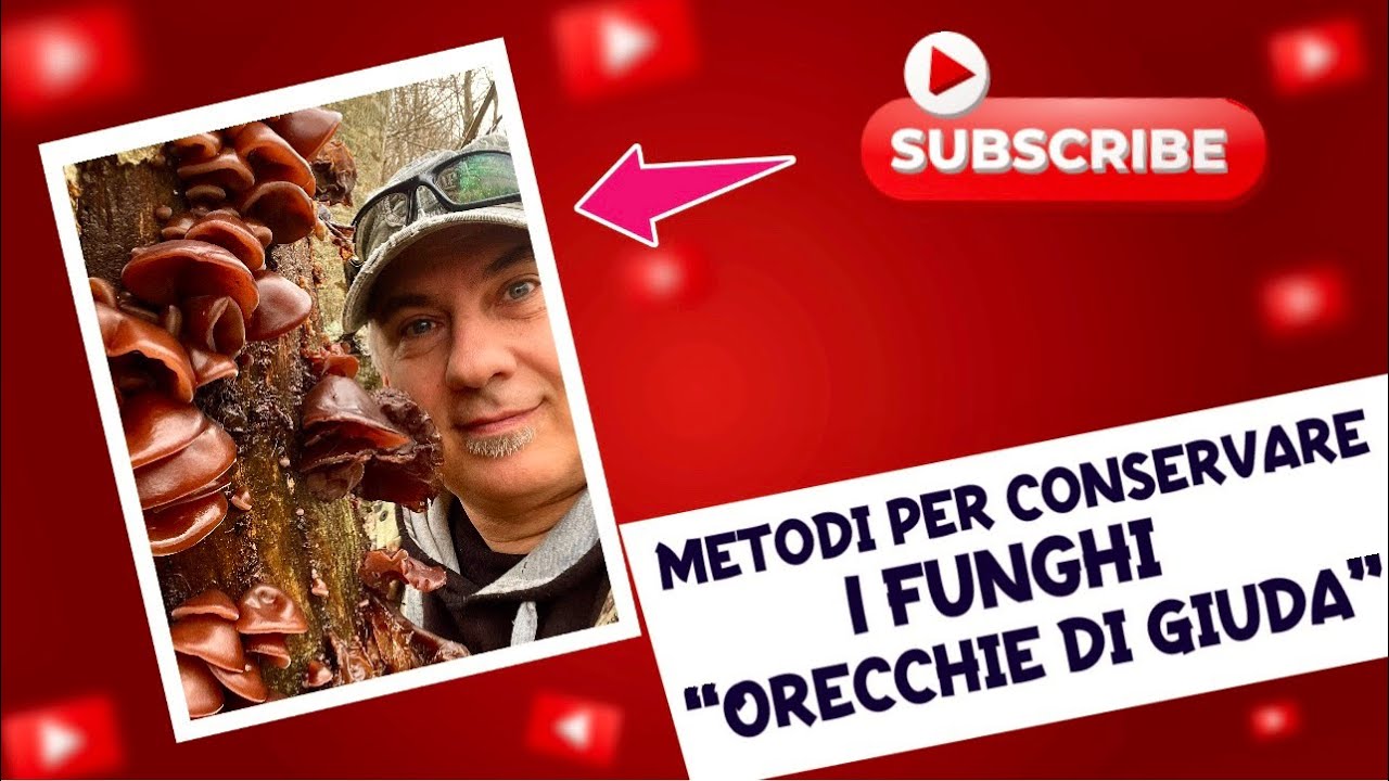 Metodi per conservare i funghi “Orecchie di Giuda” [SUB] - YouTube