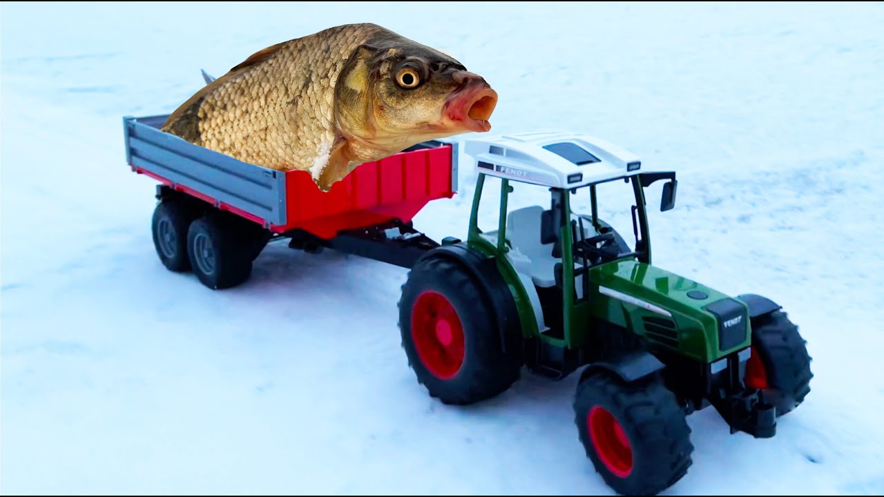 Truck Helping Fish | Tractor Cartoon Video Science Project - YouTube