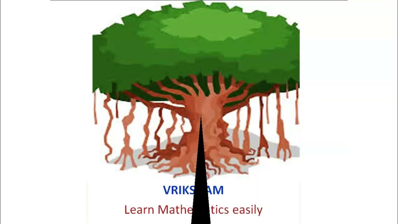 Cambridge AS and A level -Chapter 2 -Composite functions -Exercise 2B ...