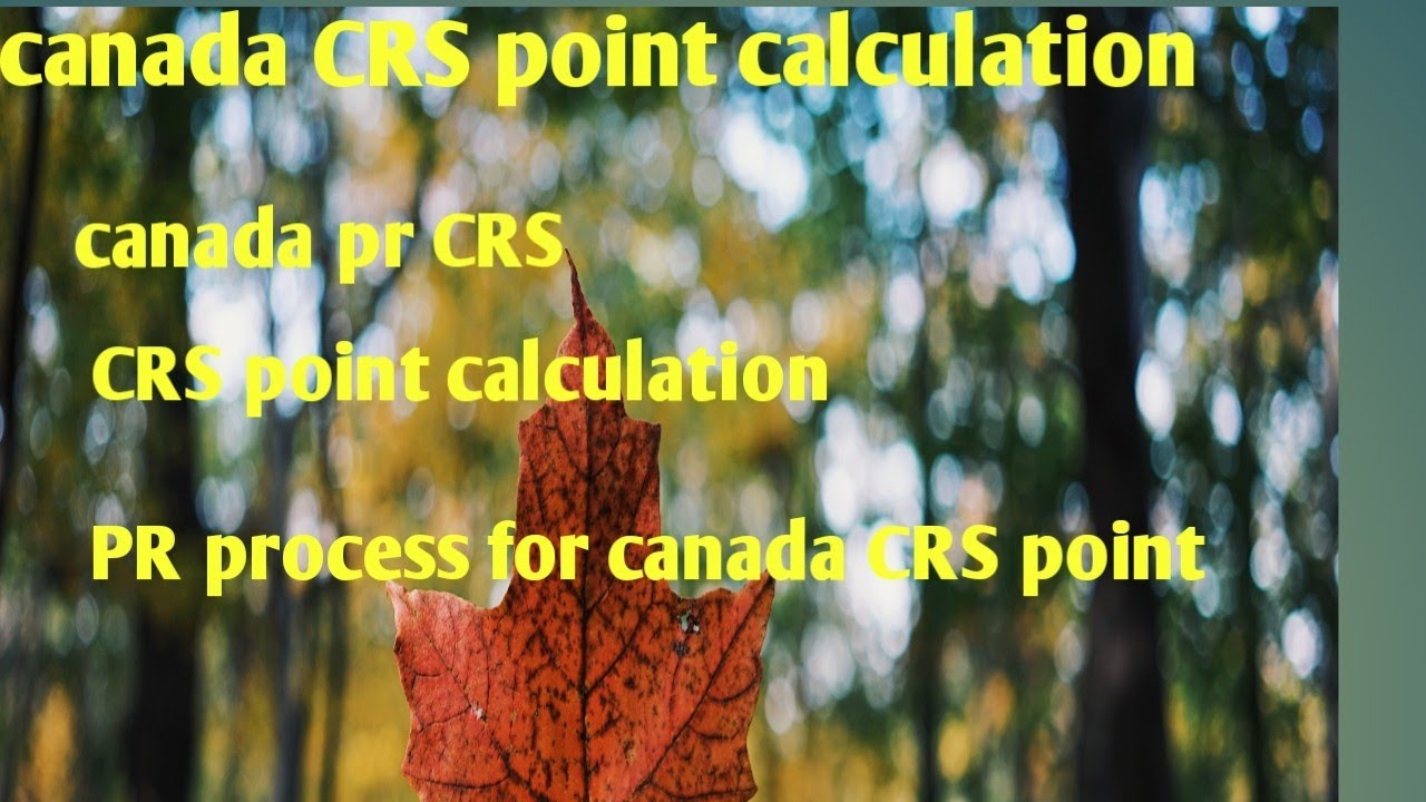 CANADA PR Express Entry CRS POINT - YouTube