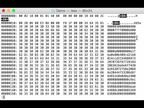 VBA Maldoc: Form-Embedded PE File - YouTube