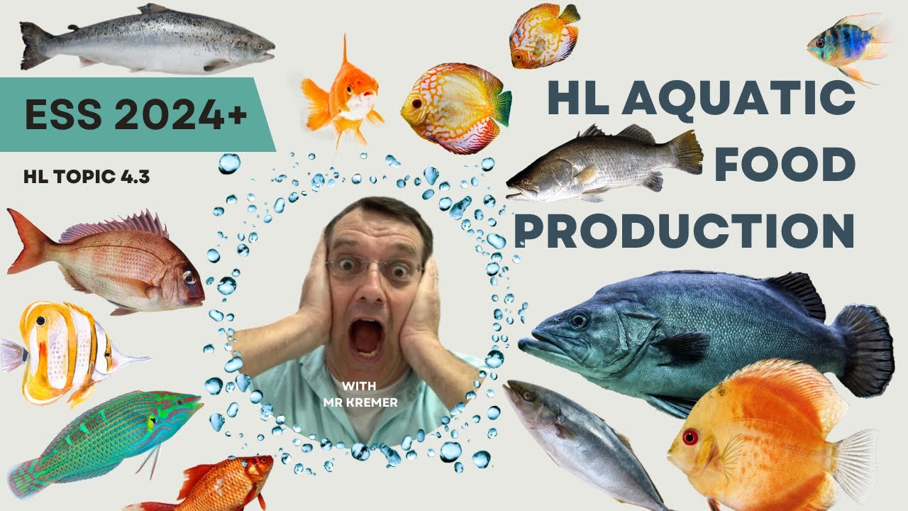 IB ESS HL topic 4.3 Exam Prep - Aquatic Food production - YouTube