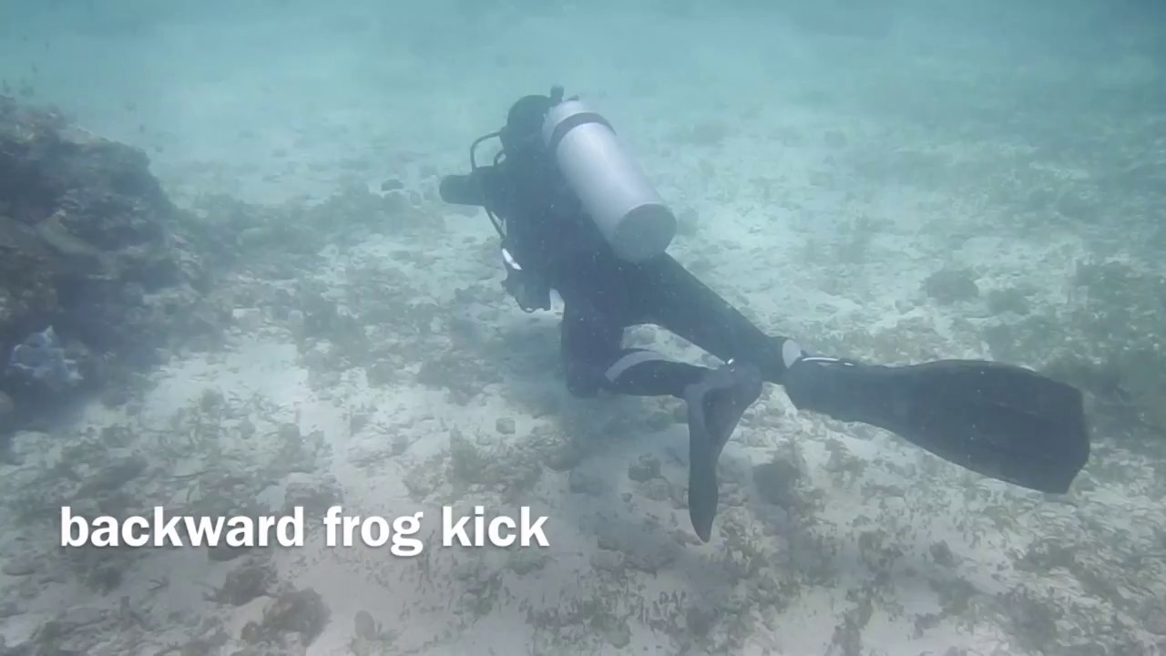 backward frog kick skill practice - YouTube