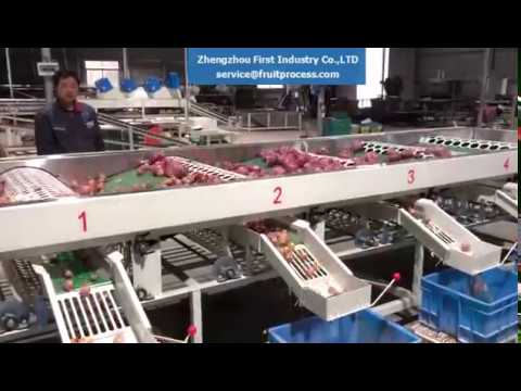 Onion grading machine, onion sorting machine, onion grader,آلة الدرجات ...