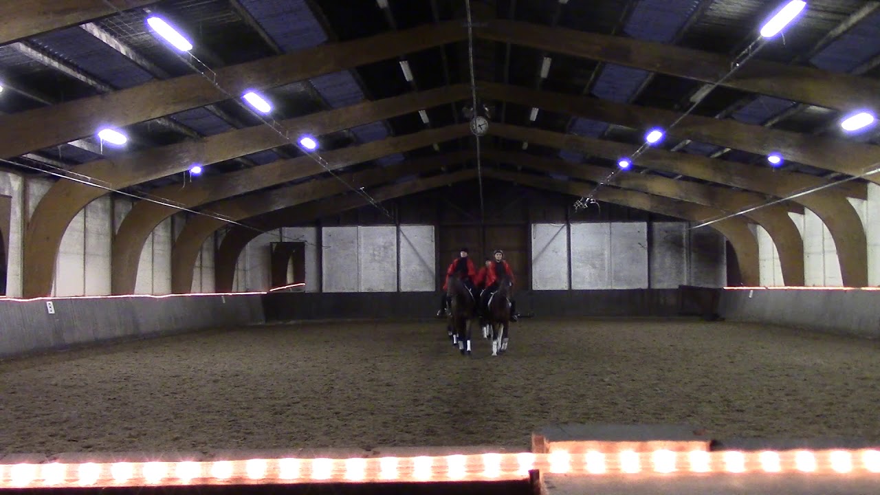 Manege Berestein Den Haag Nieuwjaarscaroussel 1 januari 2018 - YouTube