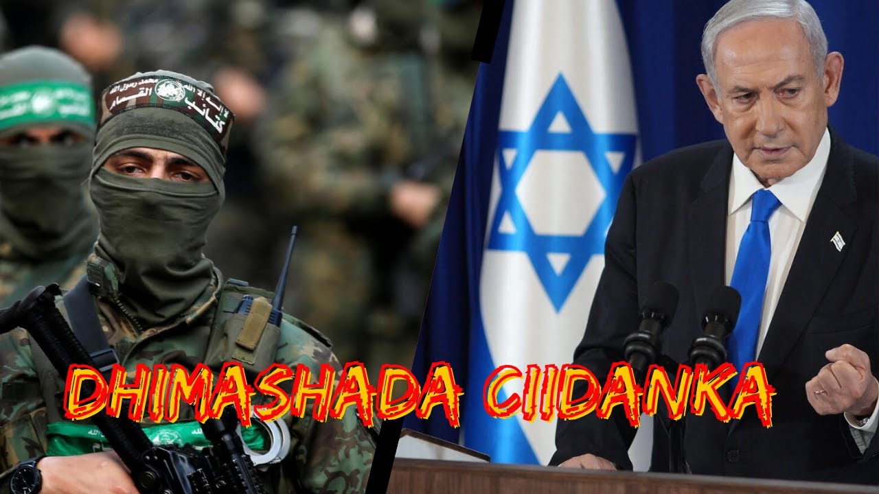 SUBAX xaalku ku xun yahay Isr|: Guutadii awoodda badnayd oo dhammaatay ...