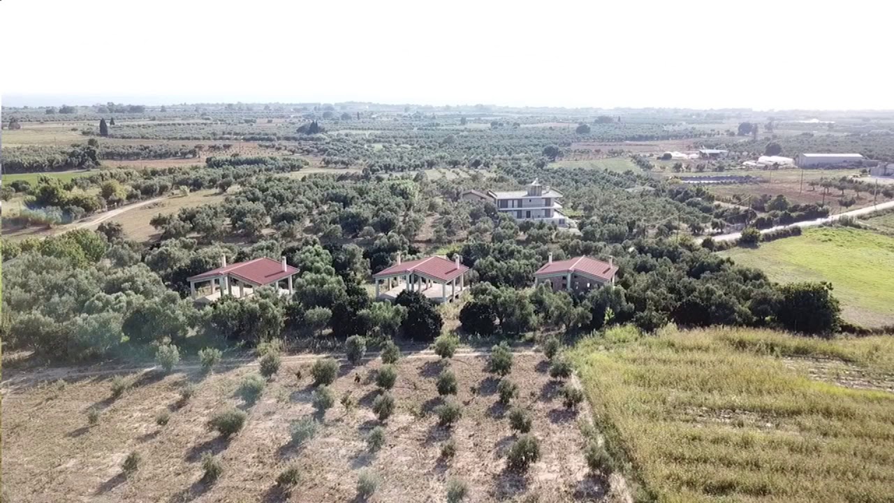 ΠΩΛΟΥΝΤΑΙ ΜΕΖΟΝΕΤΕΣ ΣΤΑ ΔΟΥΝΕΙΚΑ - YouTube