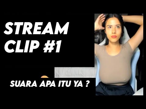 STRAWBERRYTABBY MENANG LAWAN GYM LEADER WAKE | STREAMER CLIP #1 - YouTube